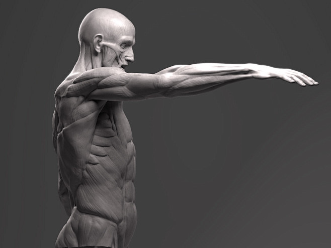 L'Ecorché anatomy app is LIVE!!!