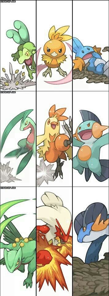 Gen 3 Starter Pokemon and Evolutions. #Pokemon #Hoenn
