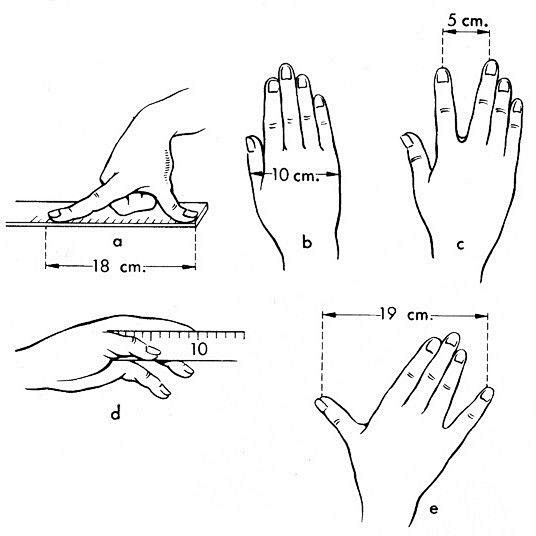 人体手掌的各种姿势尺寸。人体工程学，设计参考