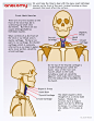 Drawsh: Anatomy